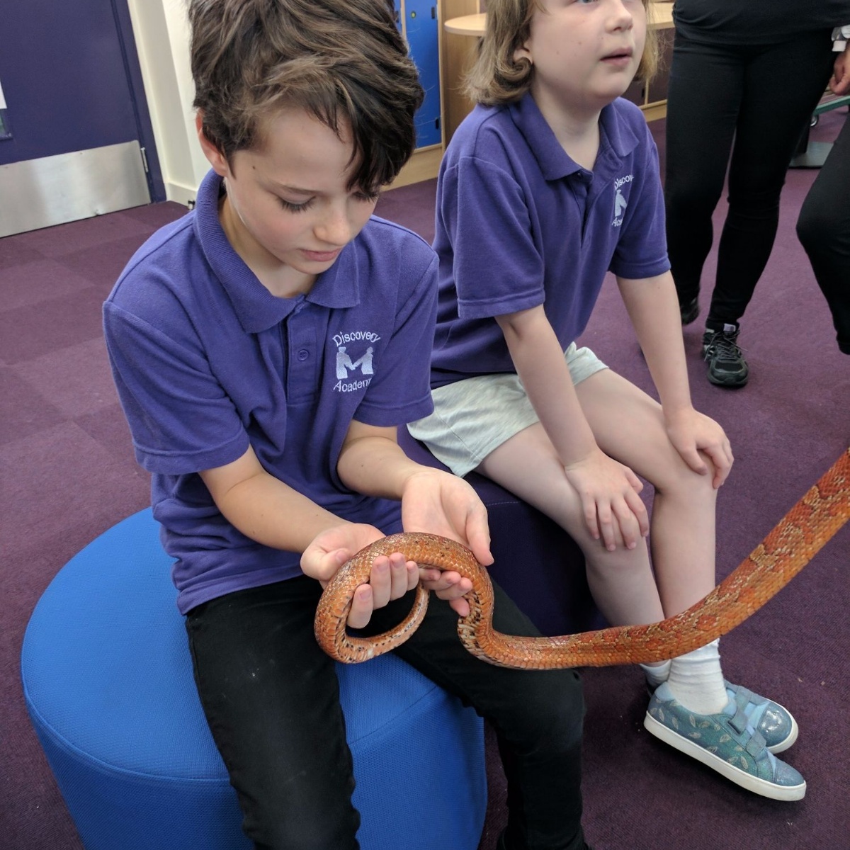 Discovery Academy - Discovery goes Amazonian with Zoolab!