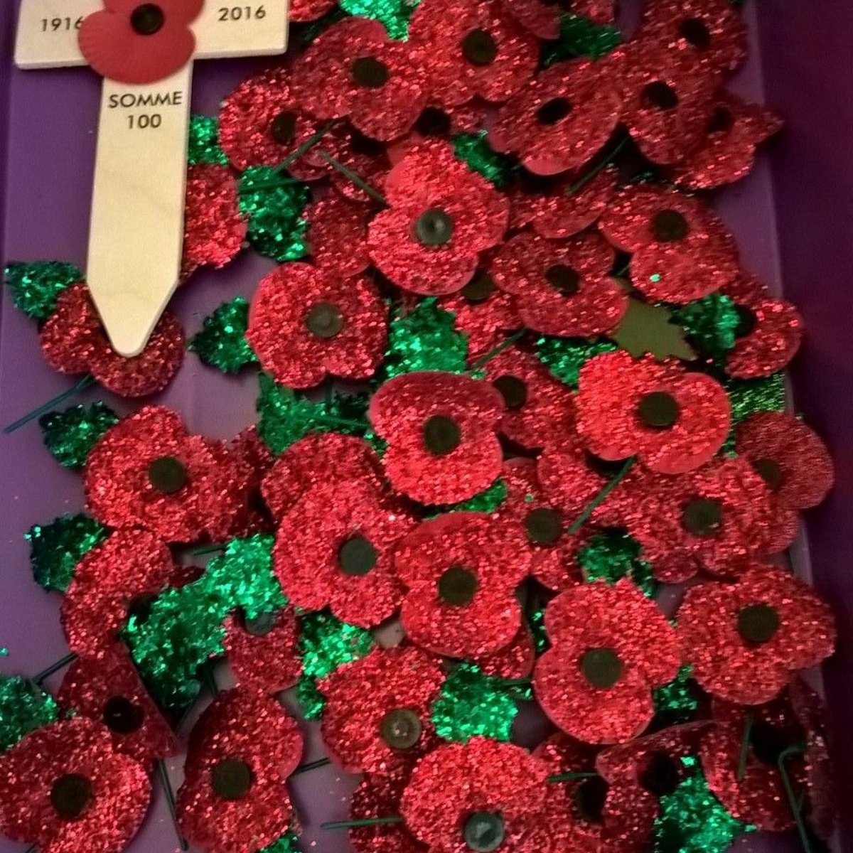 Discovery Academy - Discovery raises funds for Poppy Appeal